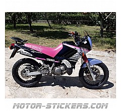 Yamaha TDR 125 1991 decals